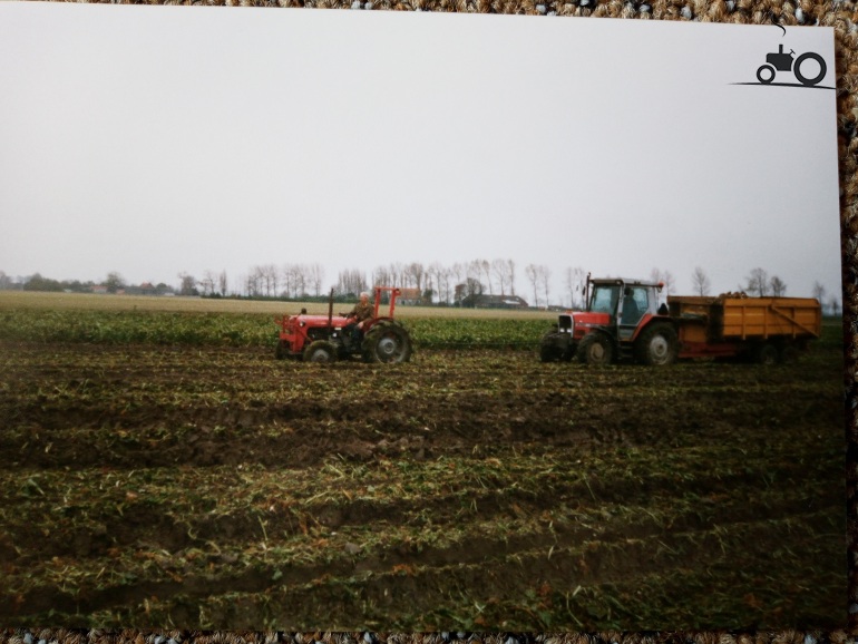 Foto Massey Ferguson 3050 #1463010