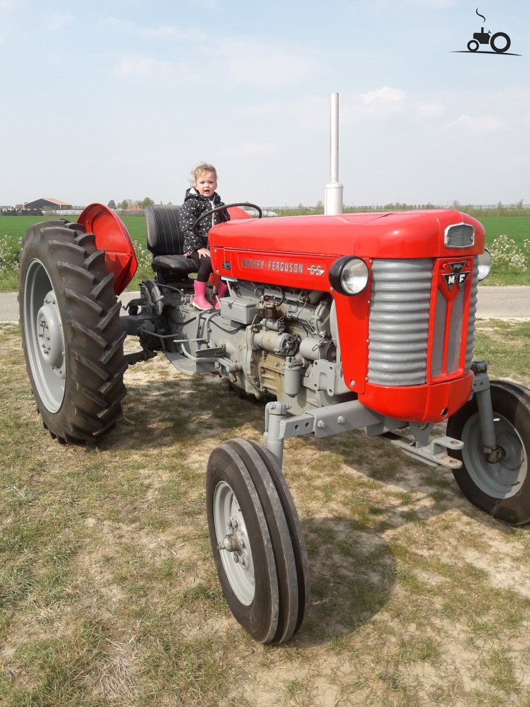 Foto Massey Ferguson 65 #1468235