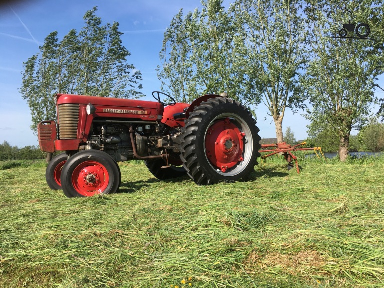 Foto Massey Ferguson 65 #1471109