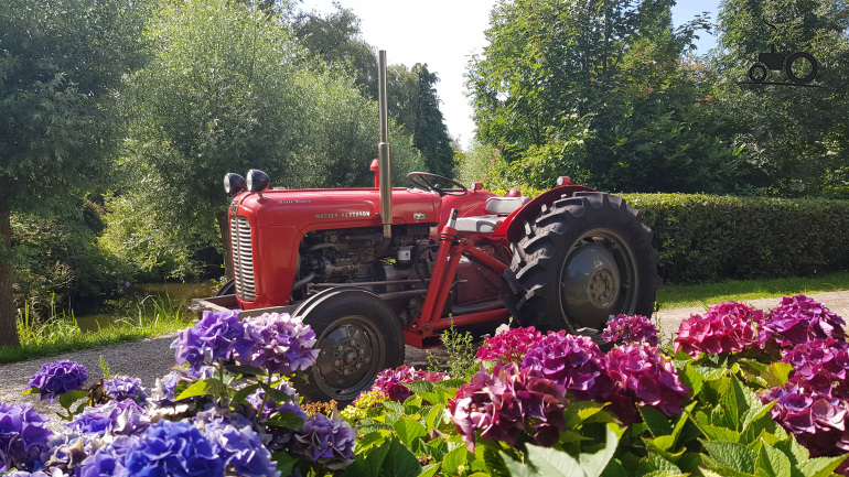 Foto Massey Ferguson 35 X Multipower #1484921