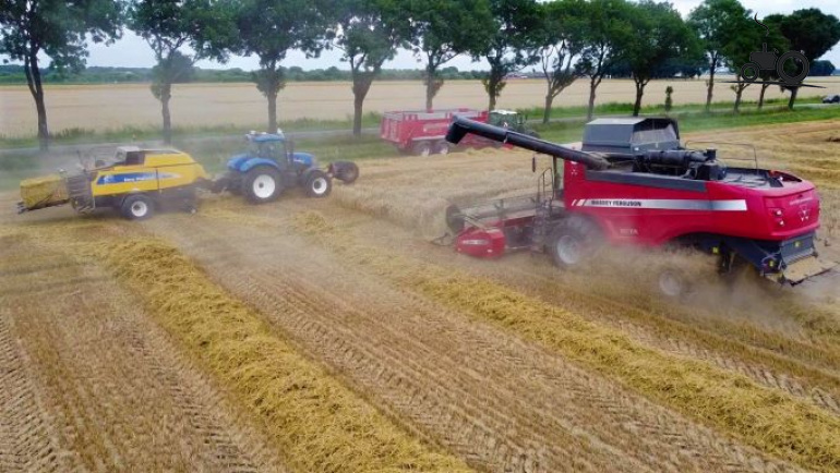 Foto Massey Ferguson 7370 Combine #1486157