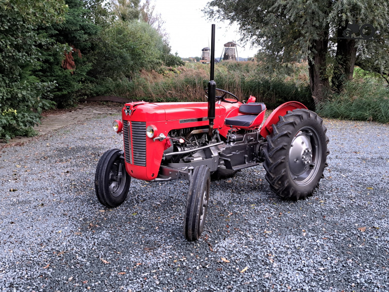 Foto Massey Ferguson 25 #1494313