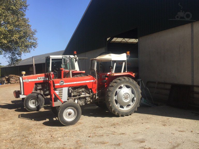 Foto Massey Ferguson 165 #1494453