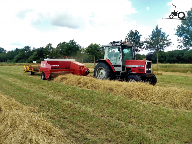 Foto Massey Ferguson 3050 #1497688