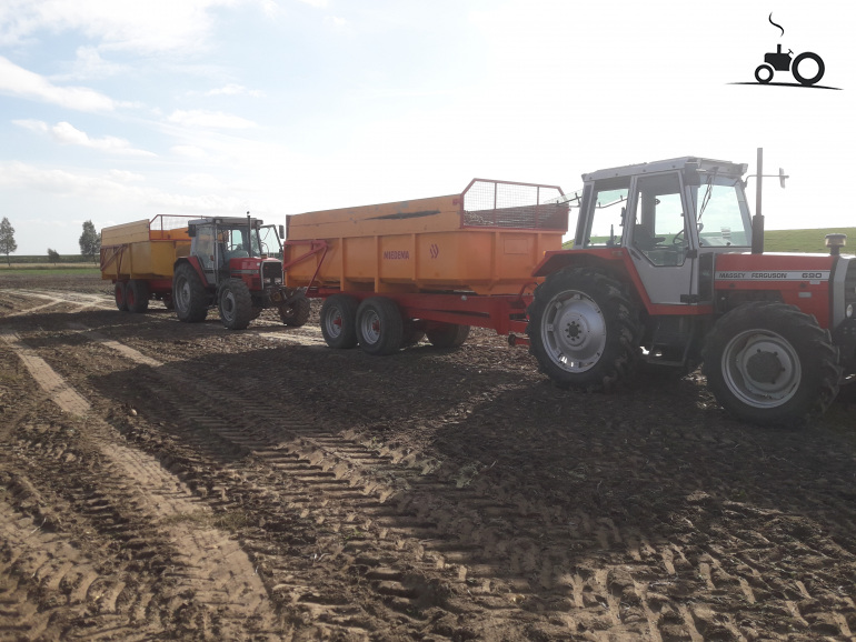 Foto Massey Ferguson 690 #1500577