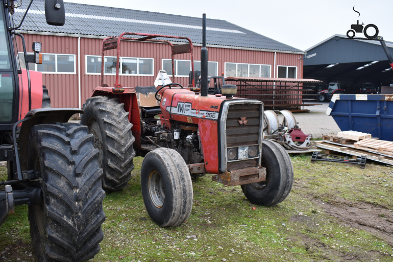 Foto Massey Ferguson 265 #1502274