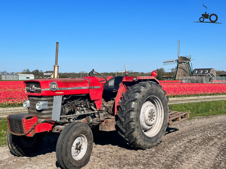 Foto Massey Ferguson 185 #1515648