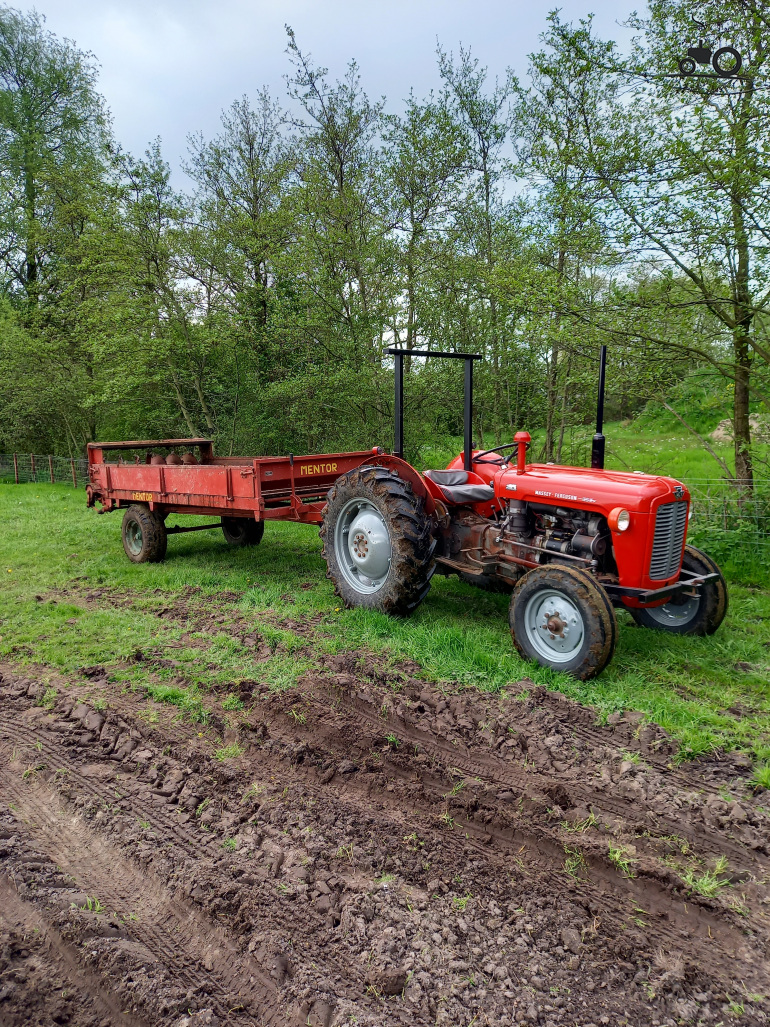 Foto Massey Ferguson 35 #1517719