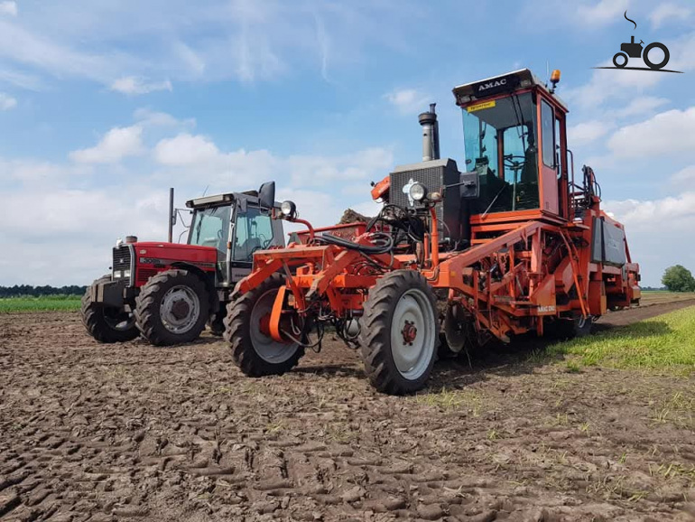 Foto Massey Ferguson 3085 #1600420