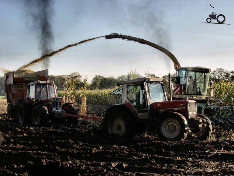 Foto Massey Ferguson 3095 #560422
