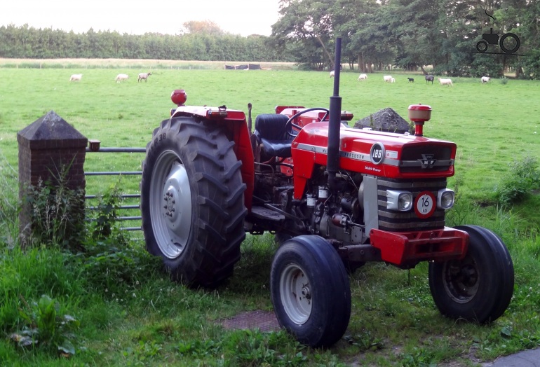 Foto Massey Ferguson 188 #664581