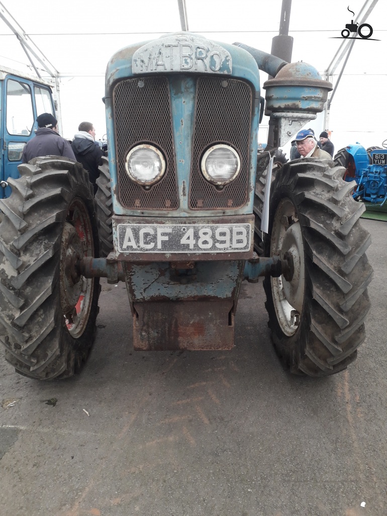 Foto Matbro Mastiff #1217107