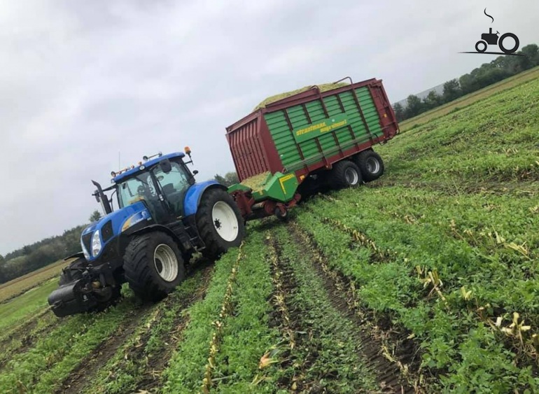 Foto New Holland T 6070 Gen2 van Mts. Wilting