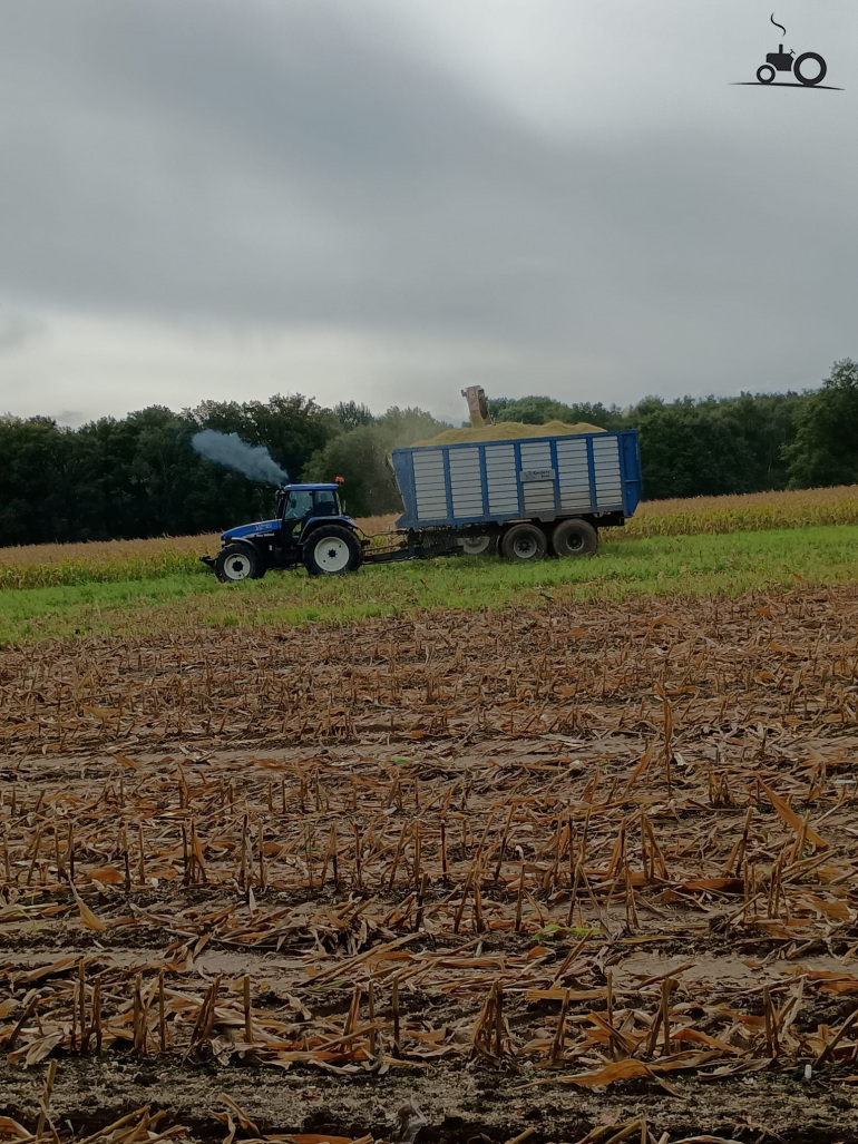 Foto New Holland TM 140 #1636695