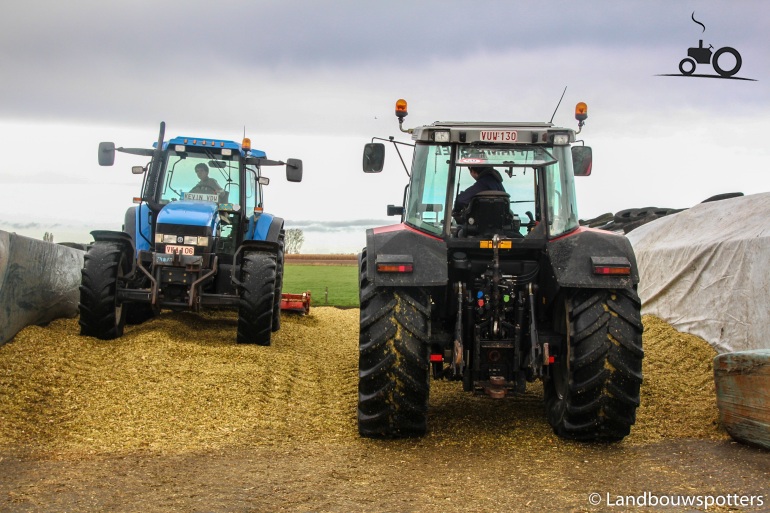 Foto New Holland TM 115 #808488