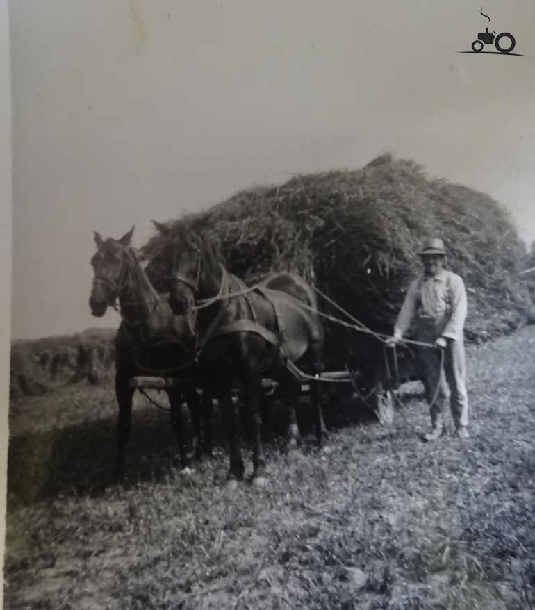 Foto oude doos paard en wagen #1406798