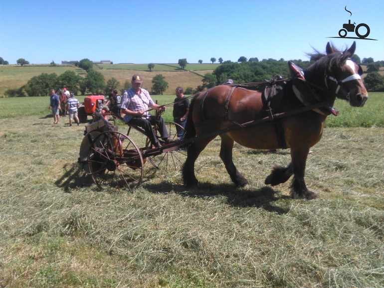 Foto oude doos paard en wagen #1442358