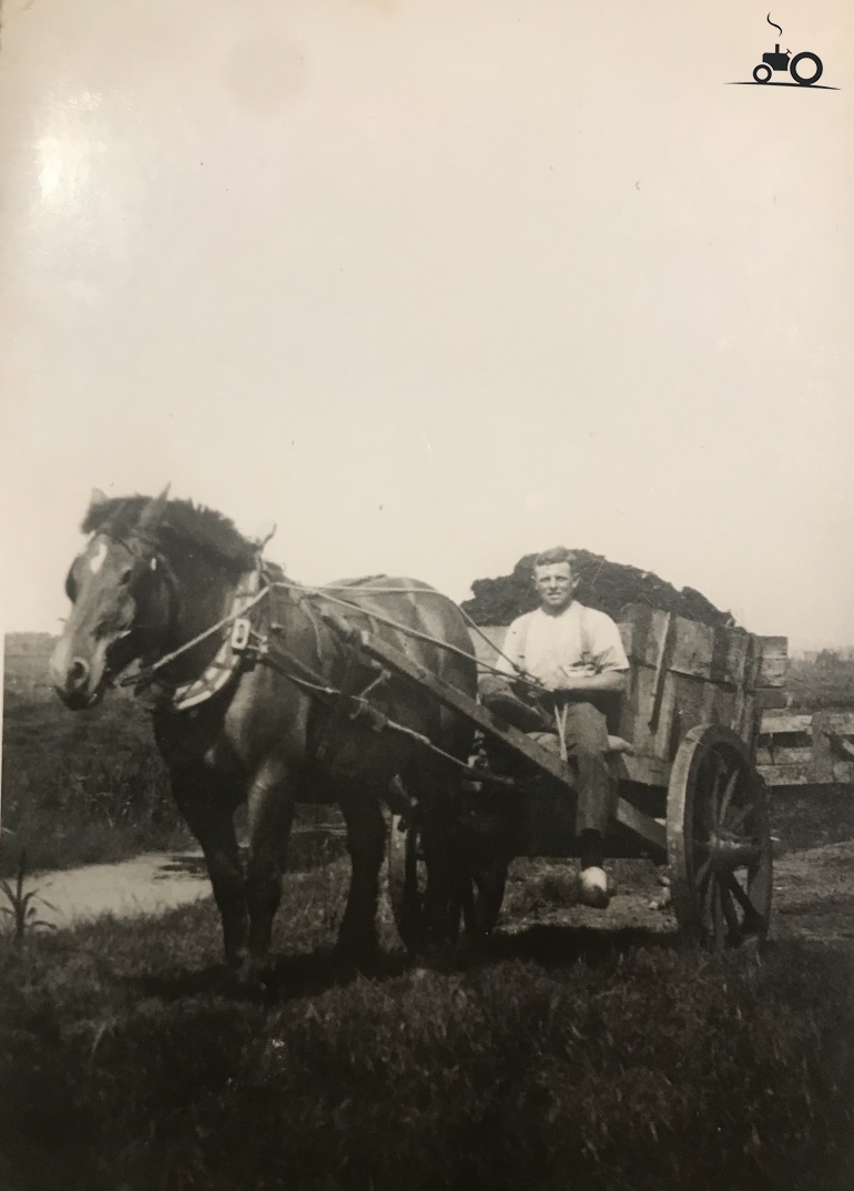 Foto oude doos paard en wagen #1447316