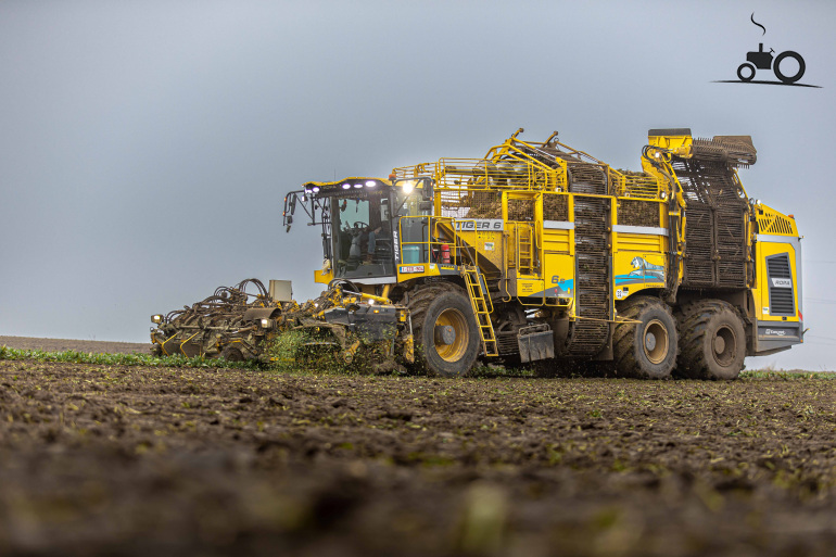 Foto Ropa Euro Tiger #1501671