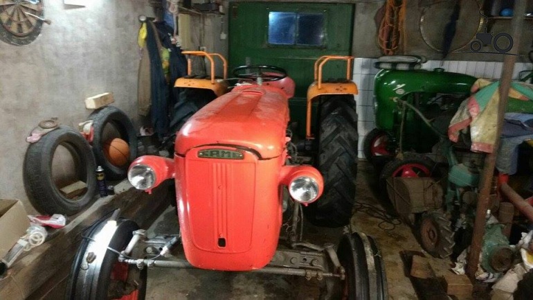 Foto Same Puledro #1147741