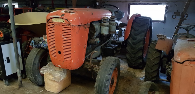 Foto Same 480 #1305289