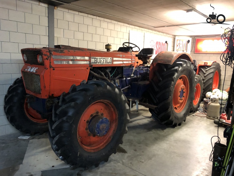 Foto Same buffalo #1335484