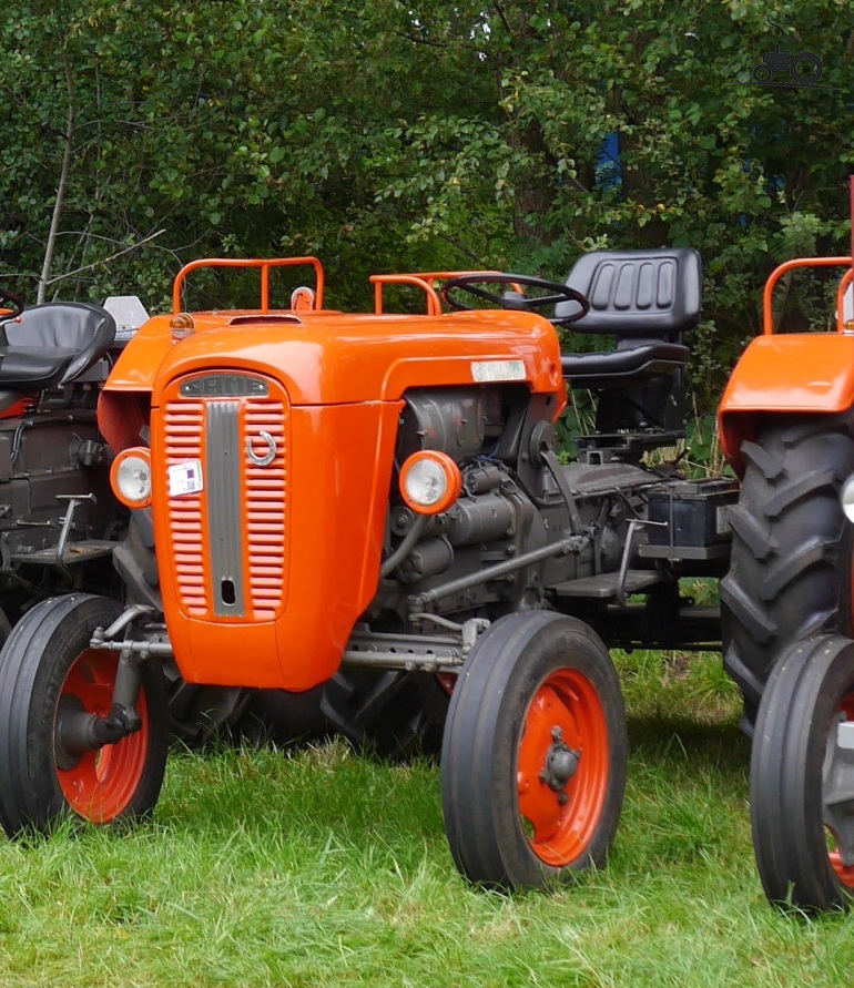 Foto Same Puledro #1338276