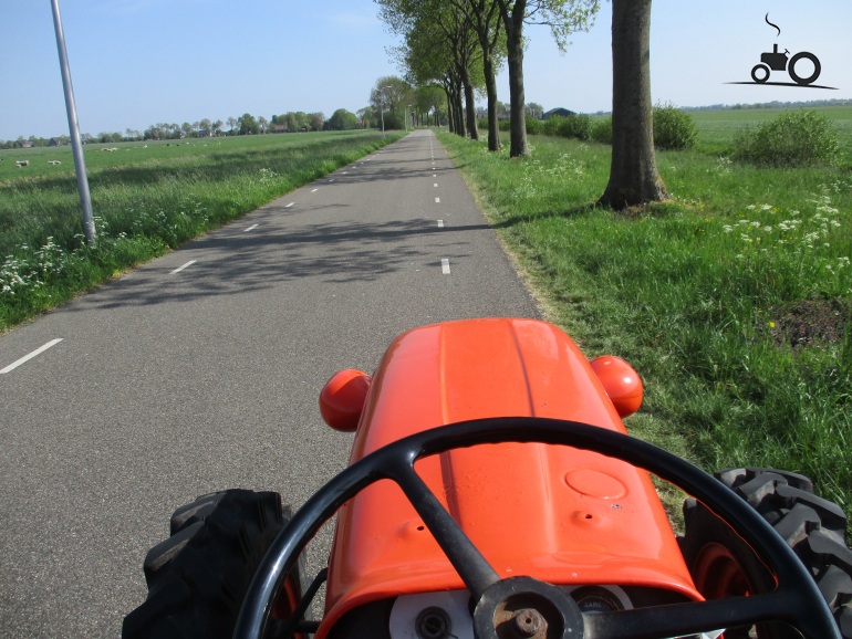 Foto Same Puledro #1347836