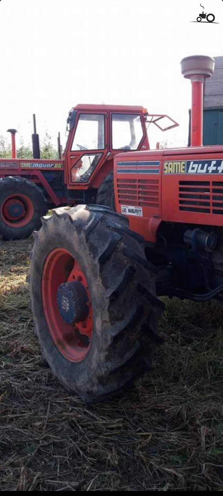 Foto Same Meerdere #1418831