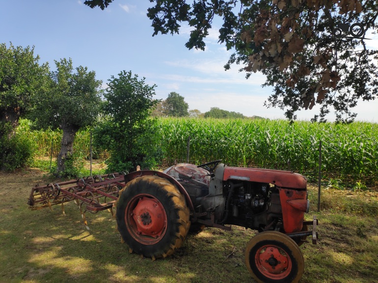 Foto Same 240 #1452937