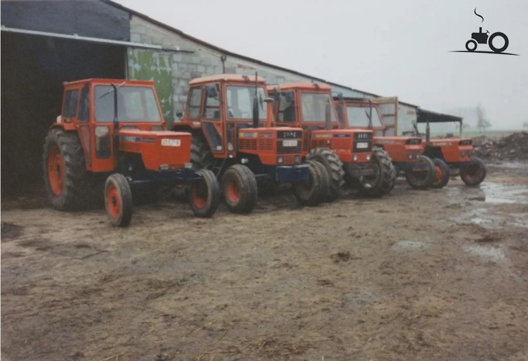 Foto Same Meerdere #1459411