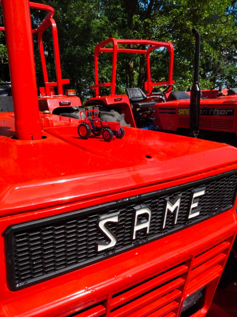 Foto Same Drago #1473728