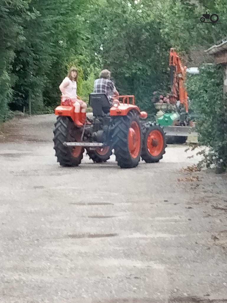 Foto Same Puledro #1478650