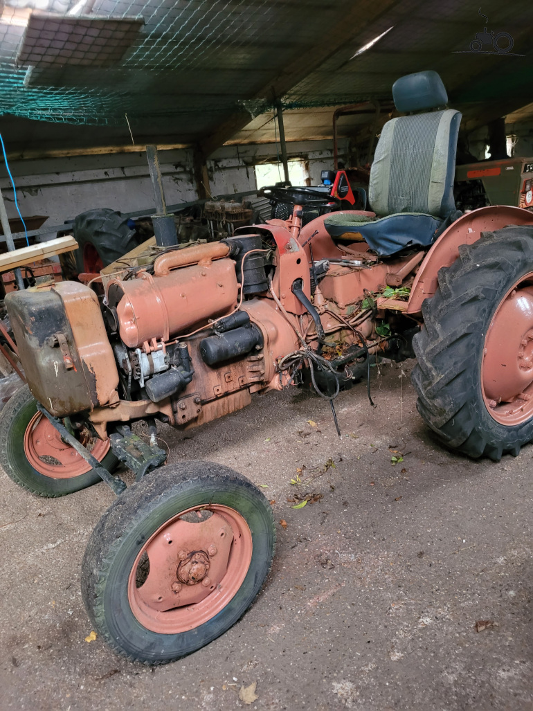 Foto Same Puledro #1496358