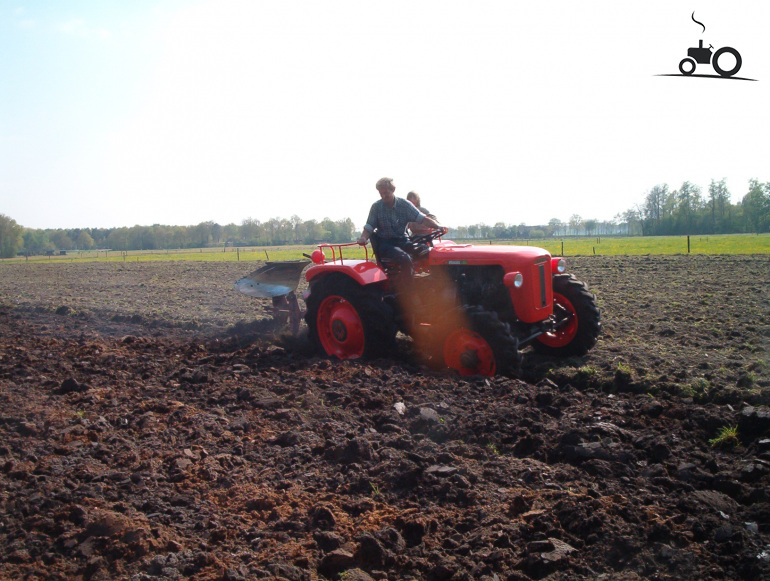 Foto Same Puledro #1499046