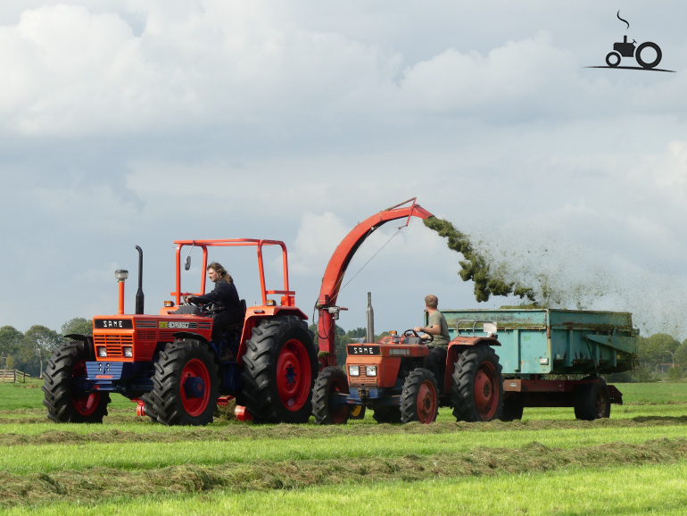 Foto Same Meerdere #1539693