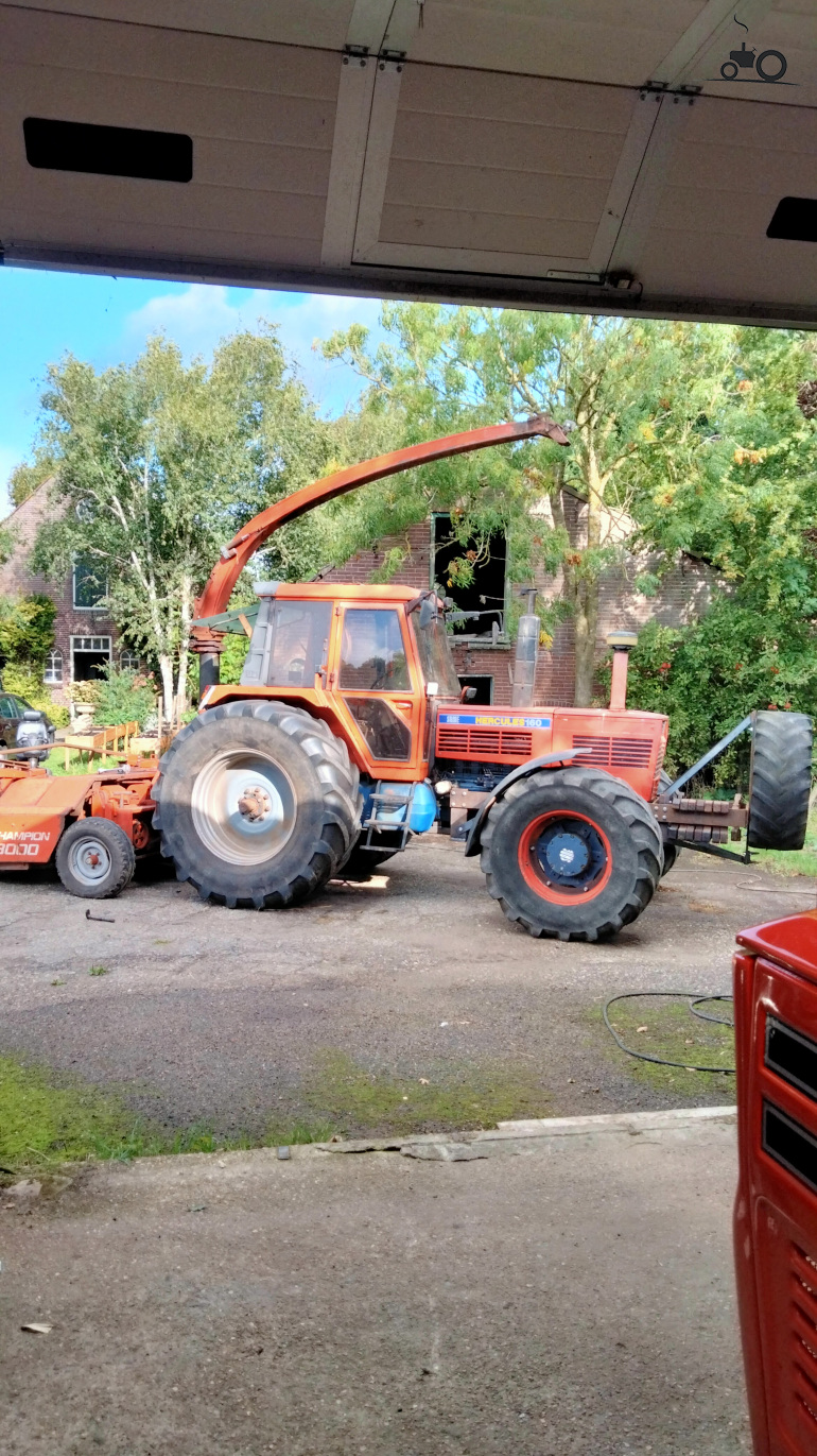 De BEUL van Hoenkoop