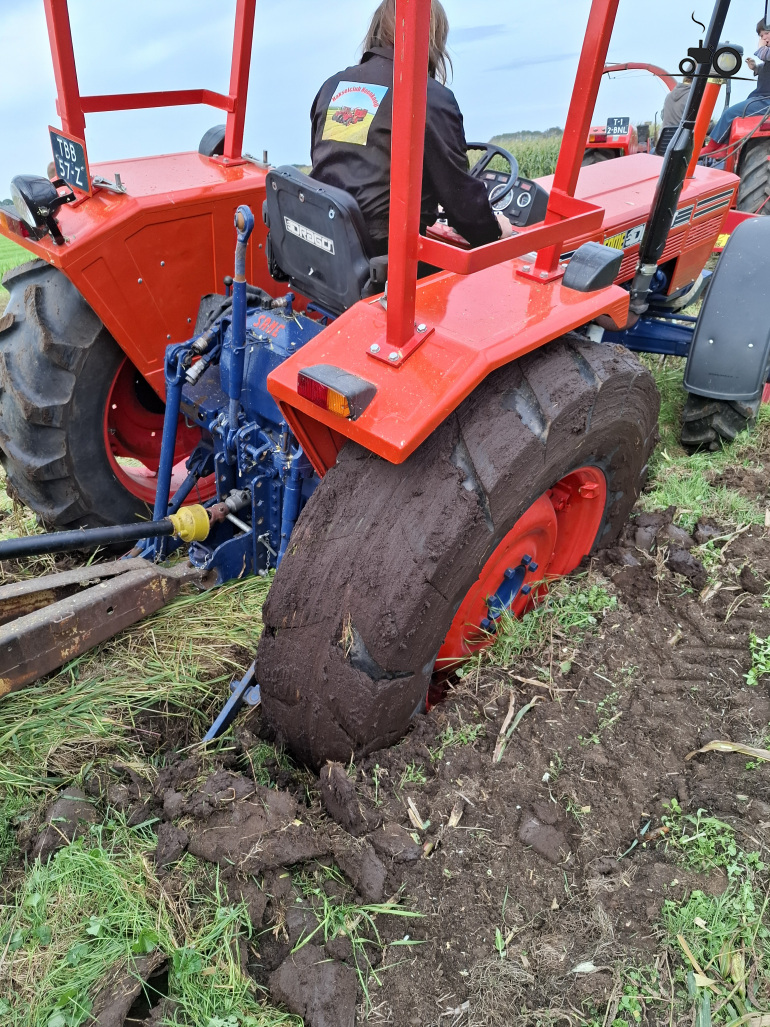 Foto Same Drago #1636541