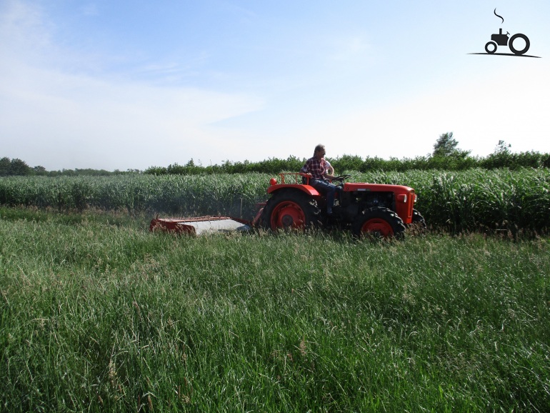 Foto Same Puledro #969817