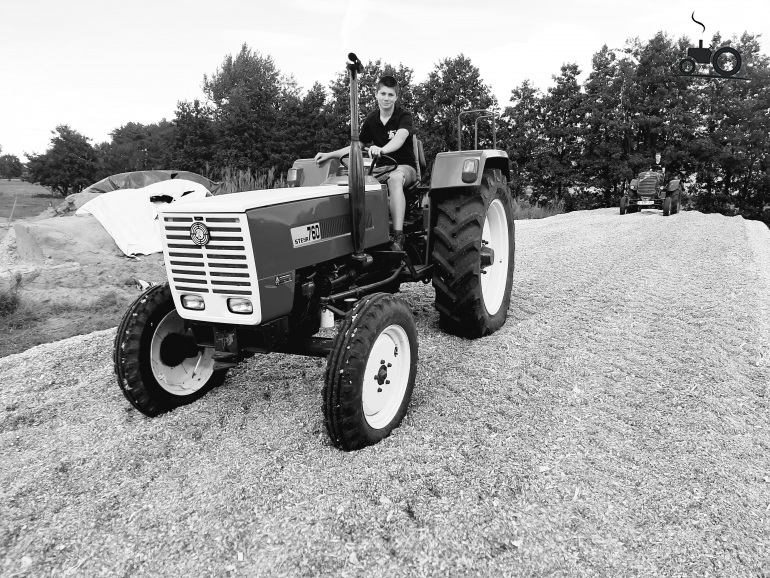 Steyr 760 - Schweiz - Traktor foto #1371355
