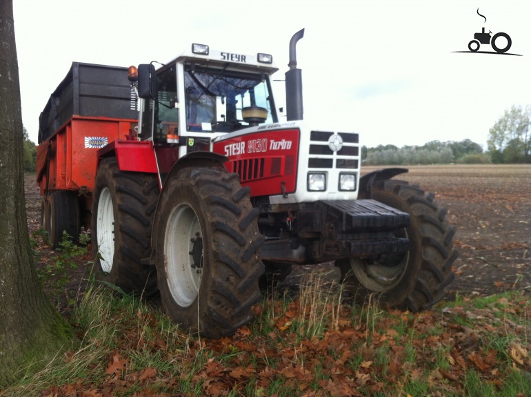 Steyr 8130 Turbo - Deutschland - Traktor foto #815493