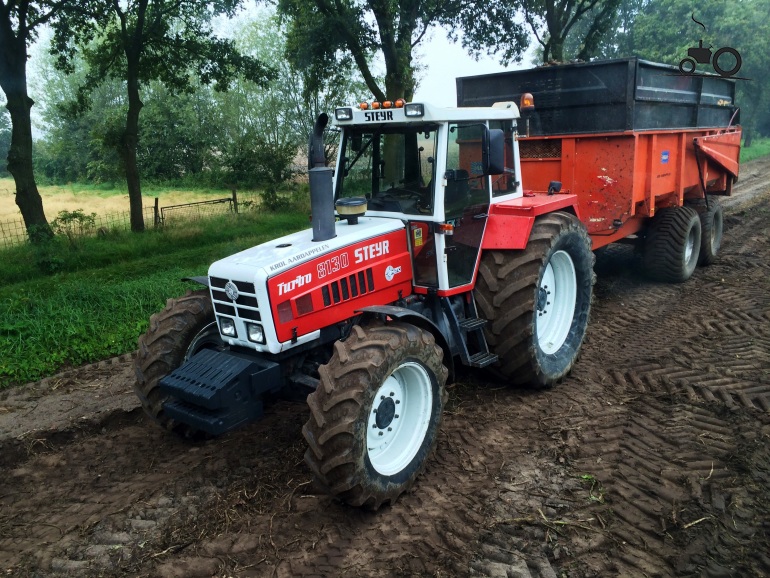 Steyr 8130 Turbo - Österreich - Traktor foto #874051