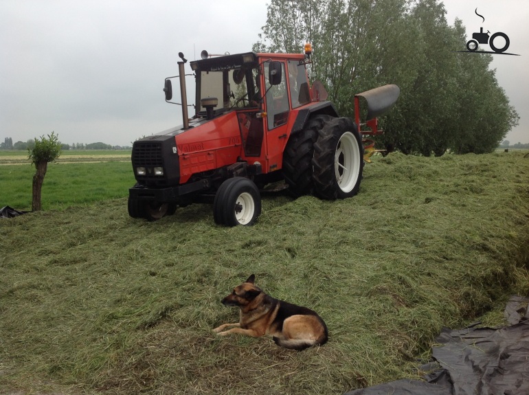 Foto Valmet 705 #1231345