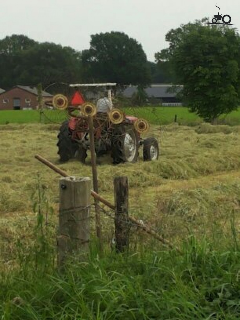 Foto Vicon Acrobaat #1171146