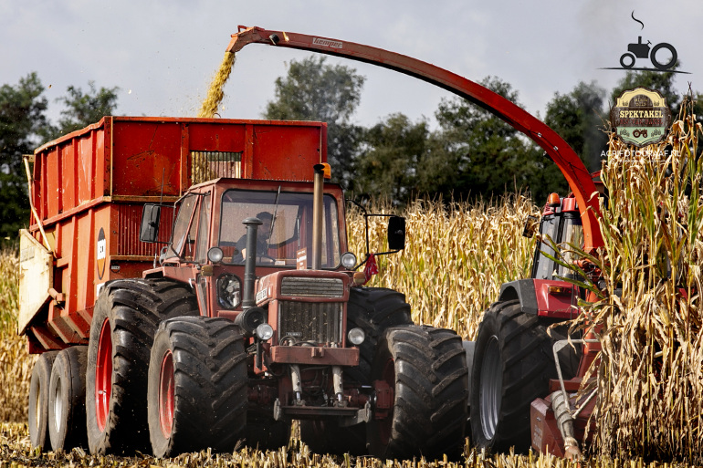 Foto Volvo BM 814 van Van Donkersgoed BV