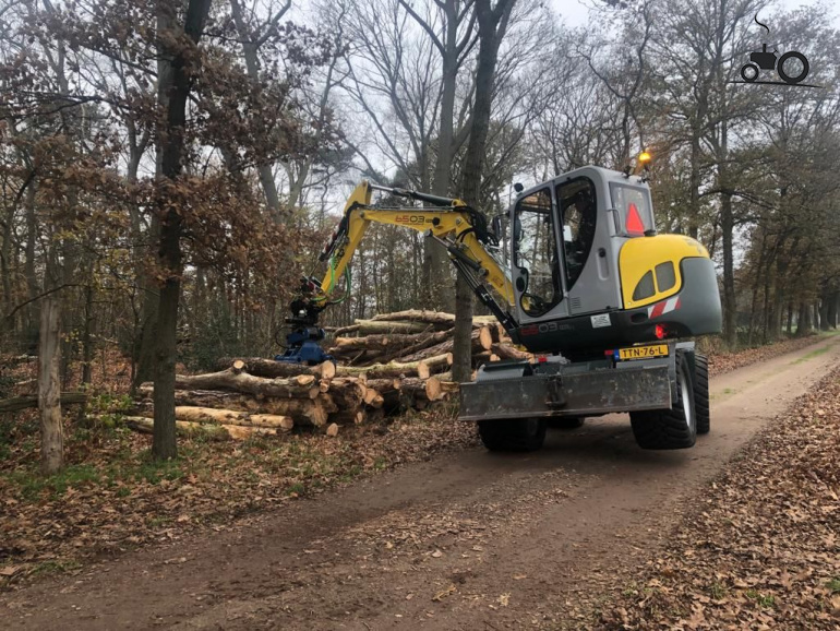 Foto Wacker Neuson 6503 #1500748