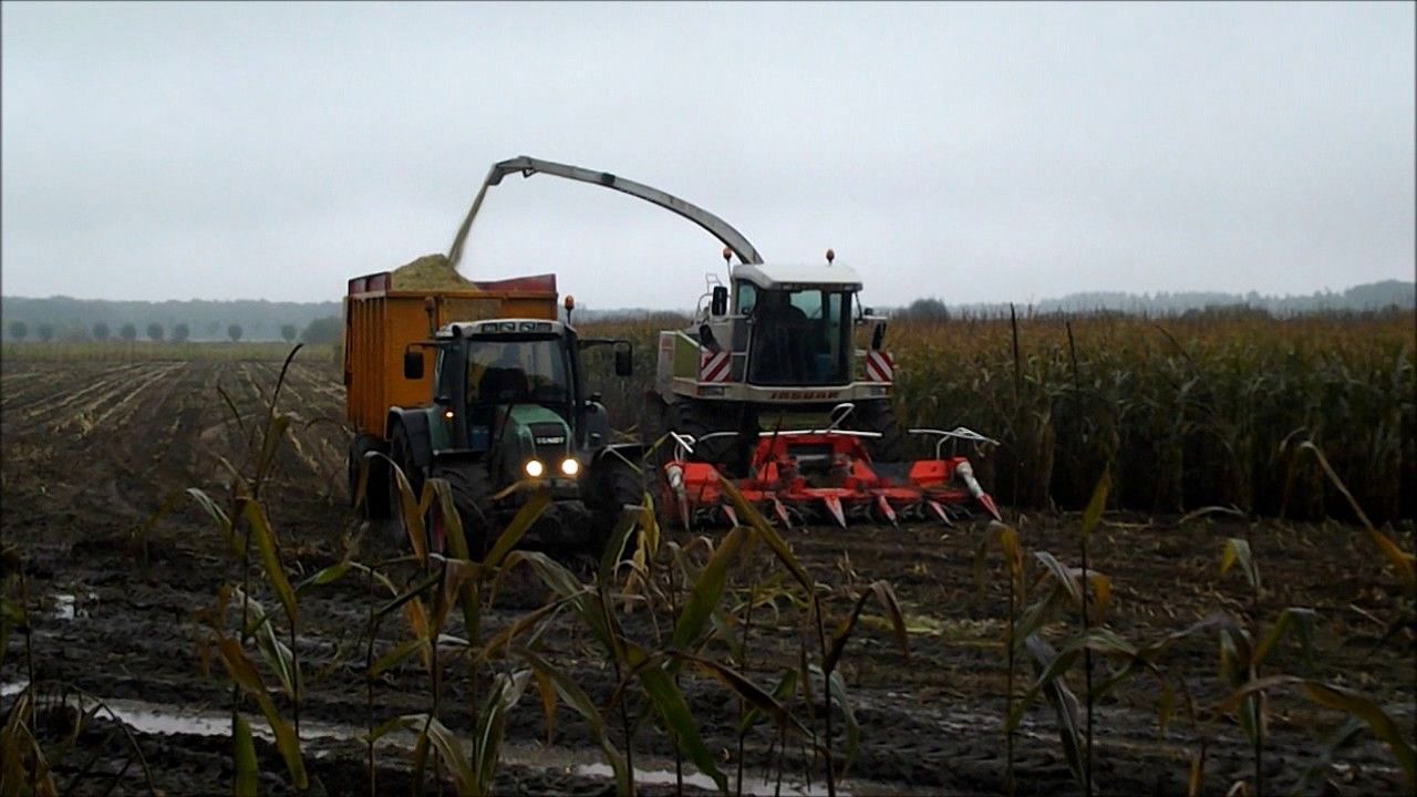Mais hakselen Loonbedrijf Marskamp Marle met 4 combinaties in de mais ...