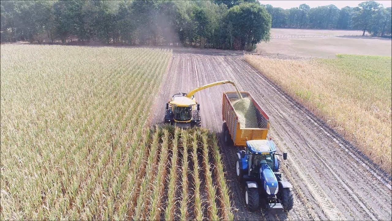 Lammertink Markelo, Mais Hakselen in Augustus 2018...