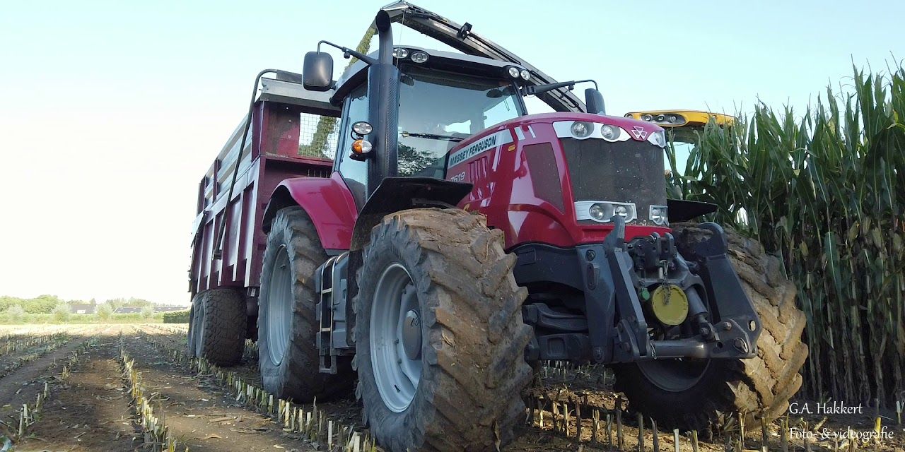 Mais hakselen loonbedrijf Scheffers - Mts hakkert