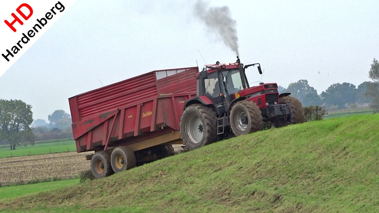 Case International 1455 XL | Oogst mais | Op de dijk bij Wilp | Nikkels